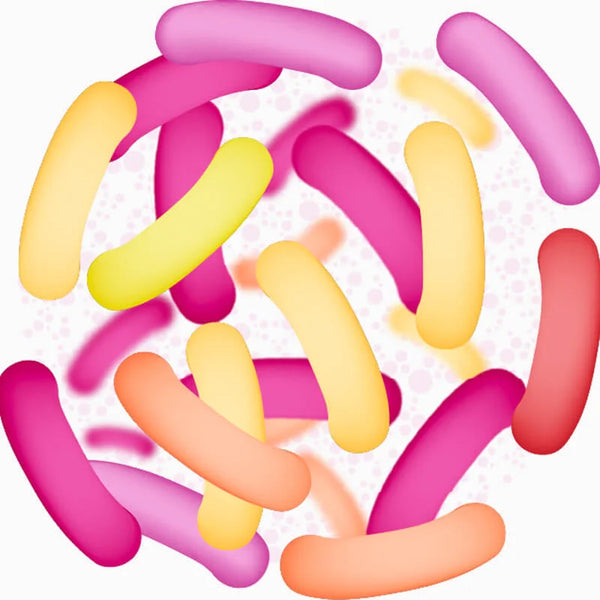 Probiotic Lactobacilli – Elements