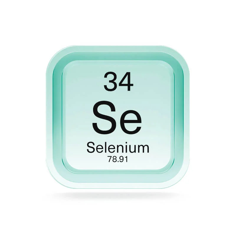 Selenium – Elements